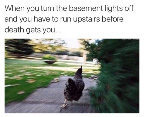 Scary Chicken Meme Crazy Chicken Lady