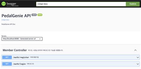 Macintellij Swagger 500 Failed To Load Api Definition 오류 해결