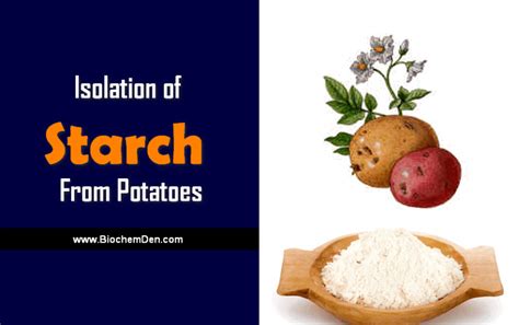 Isolation Of Starch From Potatoes