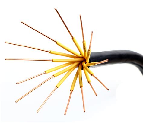 What Is A Multi Core Cable What Is The Use Of Multi Core Cable Xsd