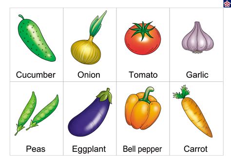 List Of All Green Vegetables With Pictures Printable Free
