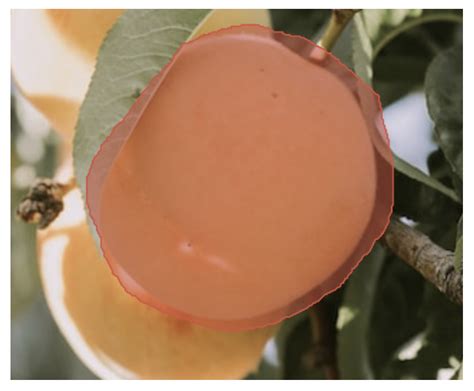 Segment Faster On The Imerit Ango Hub Platform With Smart Segment Tool Imerit