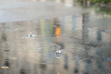 Raindrops Over The Surface Bubbles In A Rain Puddle Rain In The City