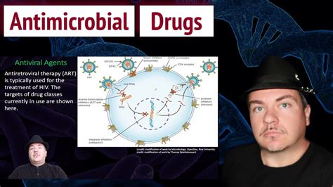 Survey Of Major Antimicrobial Drug Groups Youtube