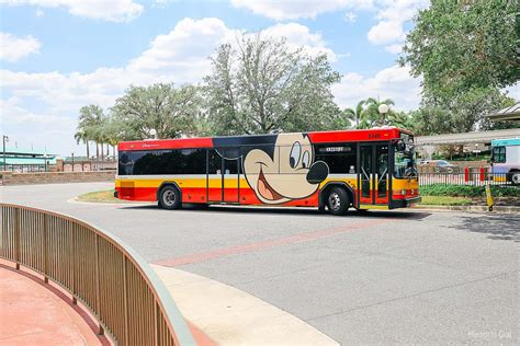 Disneys Complimentary Bus Transportation Everything You Need To Know