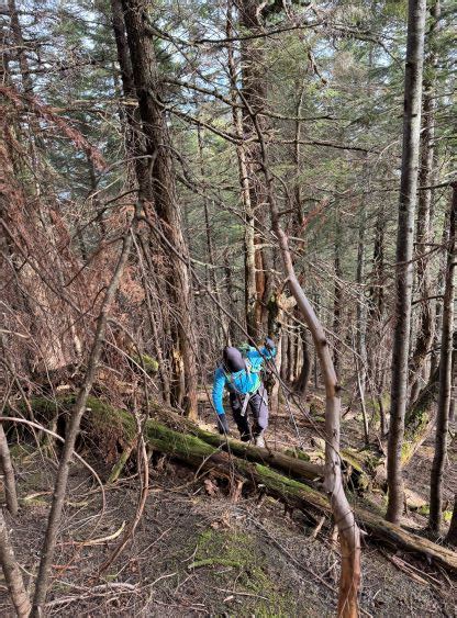 Mount Devoy Stevens Peak Bagging Journey
