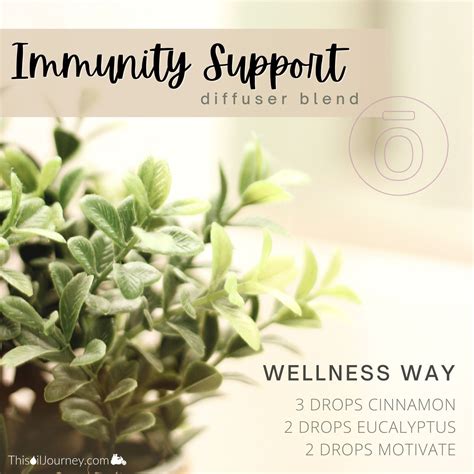 Immunity Support Diffuser Blend Diffuser Blends Essential Oil
