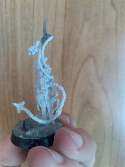 Just Assembled My Clade Vanus Infocyte Assassin What Should I Run Her