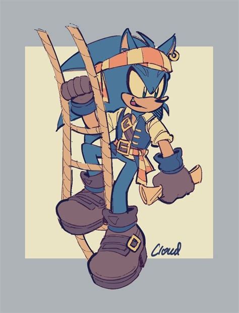 Pin By Amy Rose On Sonic Pirate Sonic Adventure Sonic Fan Characters
