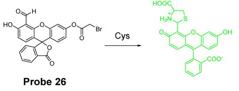 Molecules Free Full Text Fluorescent Probes For Live Cell Thiol Detection