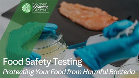 Microbiological Food Safety Testing To Keep Your Food Contaminant Free
