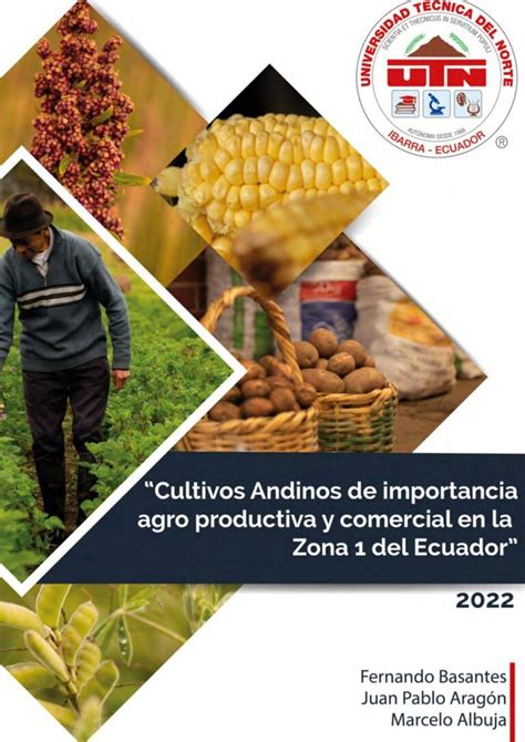 Guía Completa Para Sembrar Cebolla Paso A Paso