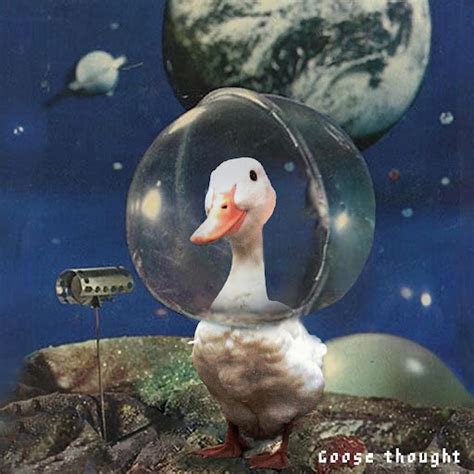 Alphago Youtube Music