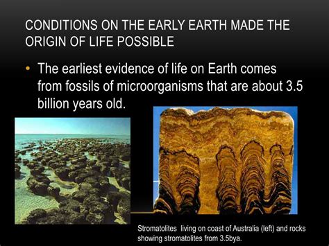 Ppt History Of Life On Earth Powerpoint Presentation Free Download