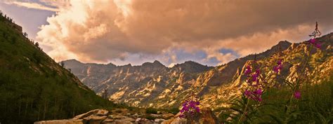 Share Certificates From Efcu