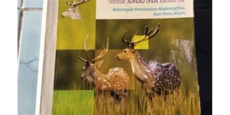 Contoh Daftar Nilai K13 Sd Panduan Lengkap 2025