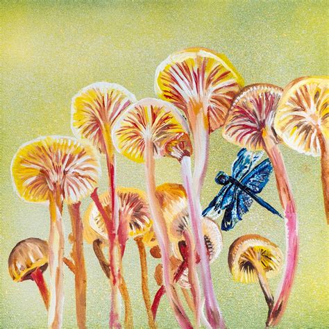 Artist In Focus Sezin Aksoy Nigel Ip