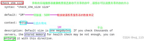 Nginx 健康检查 Charygao 博客园