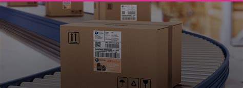 Label Epson United Arab Emirates