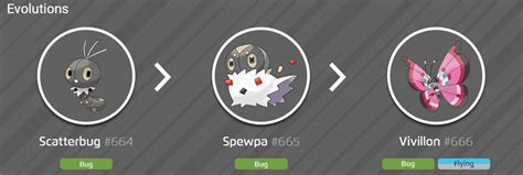 Scatterbug Evolution Scatterbug Evolution