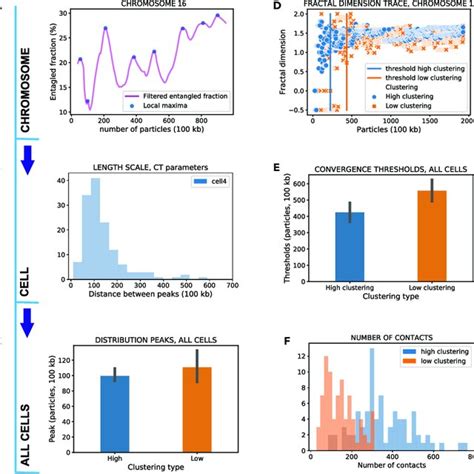 cumulative ct parameter analysis highlights periodic features and scale
