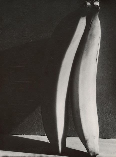 Reality Asylum • Sonya Noskowiak Untitled Two Bananas Vertical