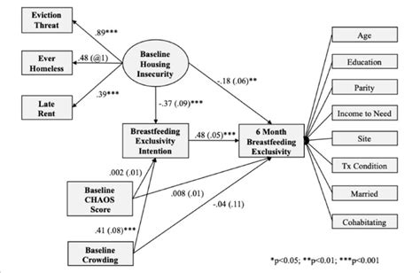 Structural Equation Model Predicting Breastfeeding Exclusivity From Download Scientific Diagram