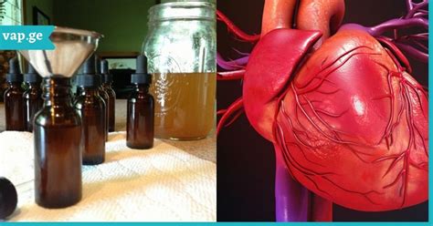 ეფექტური ნაყენი თრომბისა და გულის დაავადებების წინააღმდეგ Vap Ge