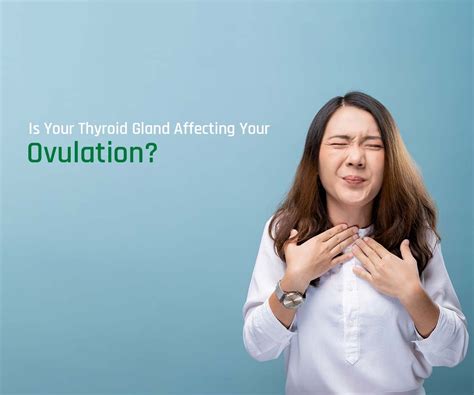 Hypothyroidism And Ovulation 5 Tips To Get Pregnant With Hypothyroid