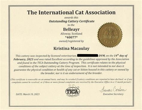 Cat Coat Colour Genetics — Belle Ayr Cats