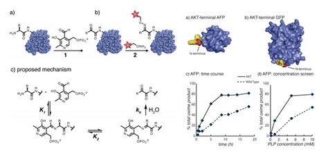Protein Modification Francislab