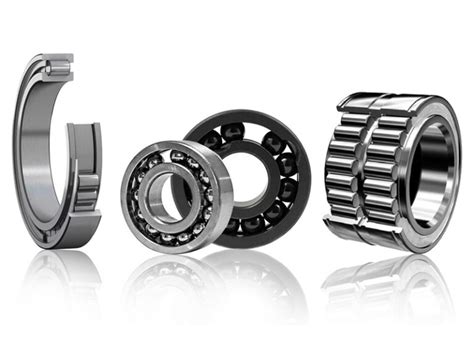 Ensuring Efficiency Full Complement Bearings Fhd