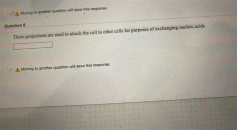 solved instructions multiple attempts not allowed this font
