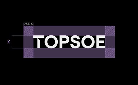 Topsoe Brand Identity Guideline And Assets