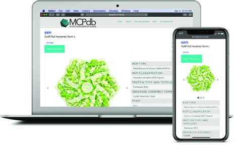 Screenshot And Example Of A Structure Profile On The Mcpdb Interface Download Scientific