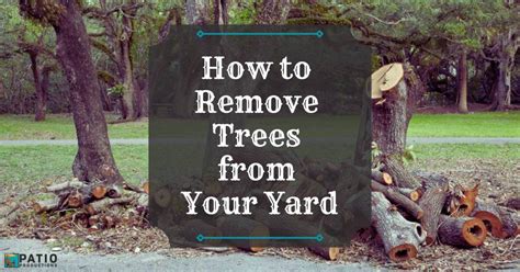 How To Remove Trees From Your Yard