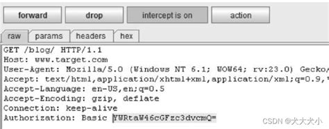 Web渗透之攻击 Authentication 1 中间人 绕过证书 Csdn博客