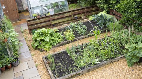 Make Your Small Row Garden A Bountiful Paradise With These 10 Plants