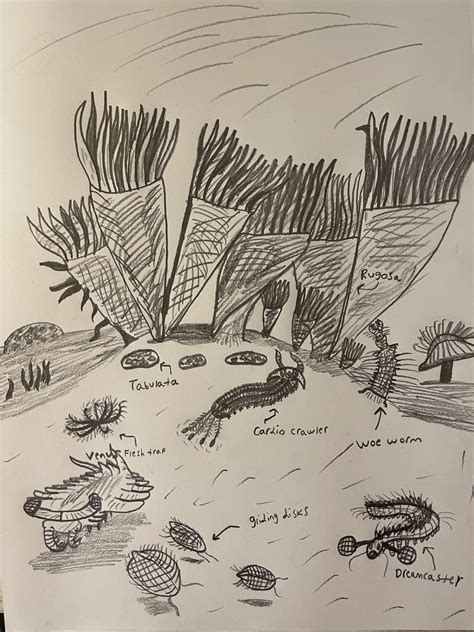 What Did The Permian Basin Superorganism Evolve From R