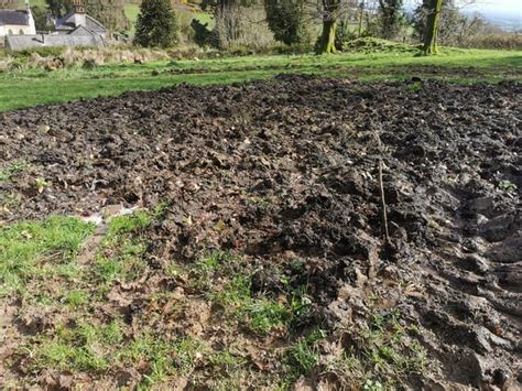 Planting Into Compost Made From Farm Waste Rgardeningire