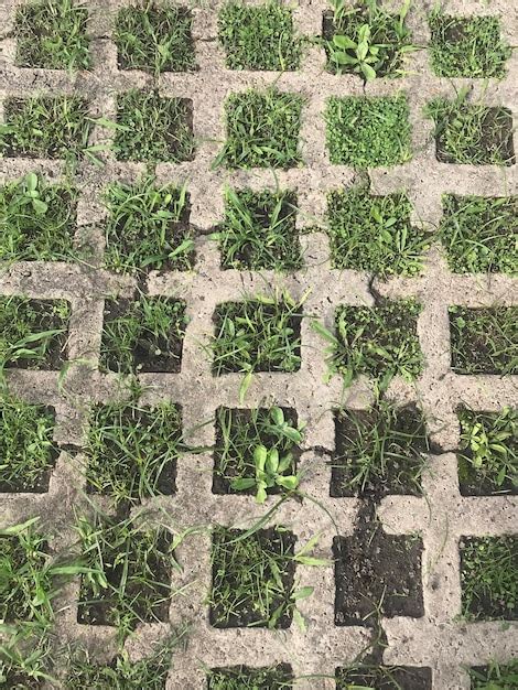 Premium Photo Slab Plot Grass Precast Concrete With Holes For Grass