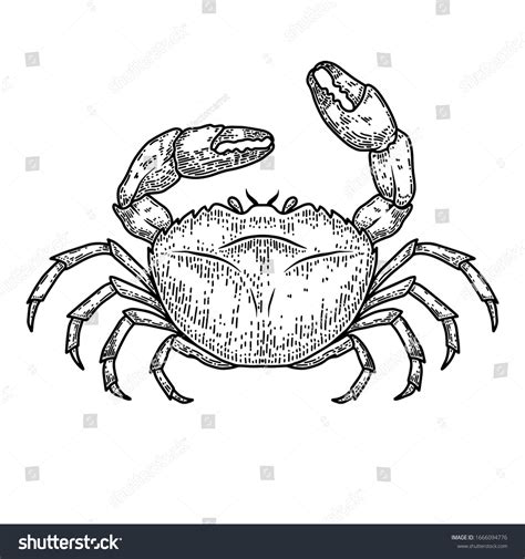 How To Draw Crab