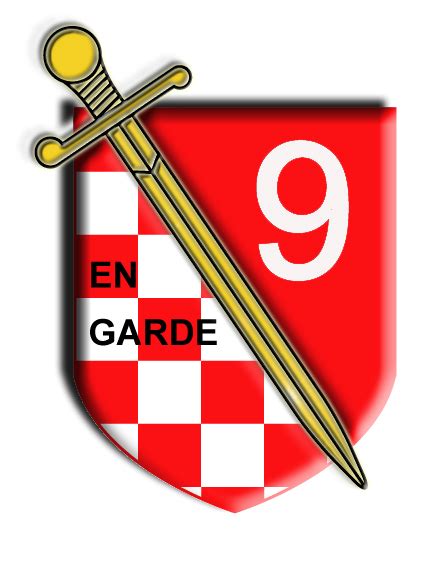 Destroyer Squadron 9 Desron 9 Destroyer Squadrons