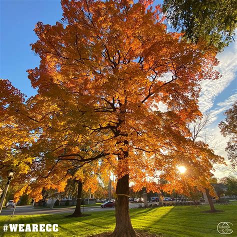 Madison Goode On Linkedin Absolutely Beautiful