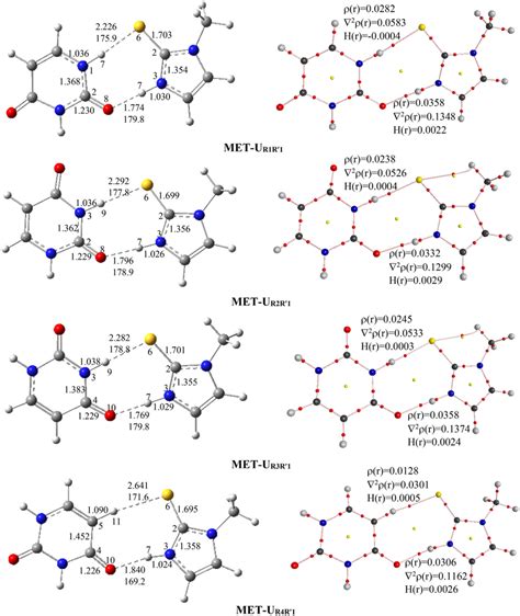 Optimized Structures Including Bond Length H Bond Distances Ǻ And