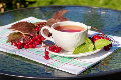 정원에서 붉은 비버넘과 민트와 뜨거운 허브 차의 아침 컵 0명에 대한 스톡 사진 및 기타 이미지 0명 가을 건강한 생활방식 Istock