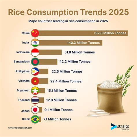 Top 10 Rice Consuming Countries In 2025