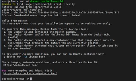 Установка и удаление Docker с Docker Compose — Lsetcru