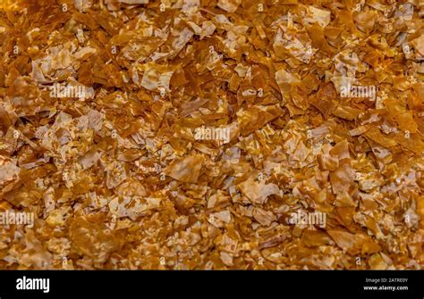 Shellac Flakes Shellac Is A Resin Secreted By The Female Lac Bug It Is Dissolved In Alcohol To