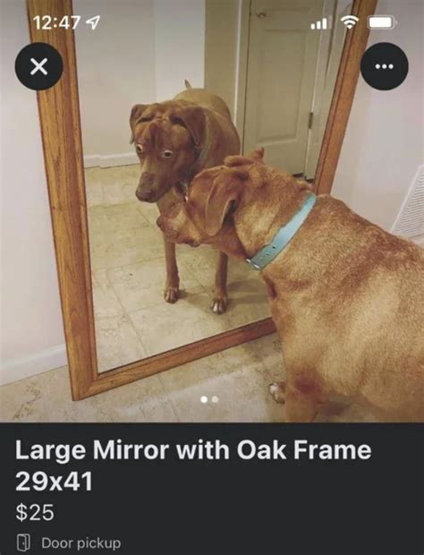 No One On Facebook Marketplace Knows How To Photograph A Mirror Ebaum